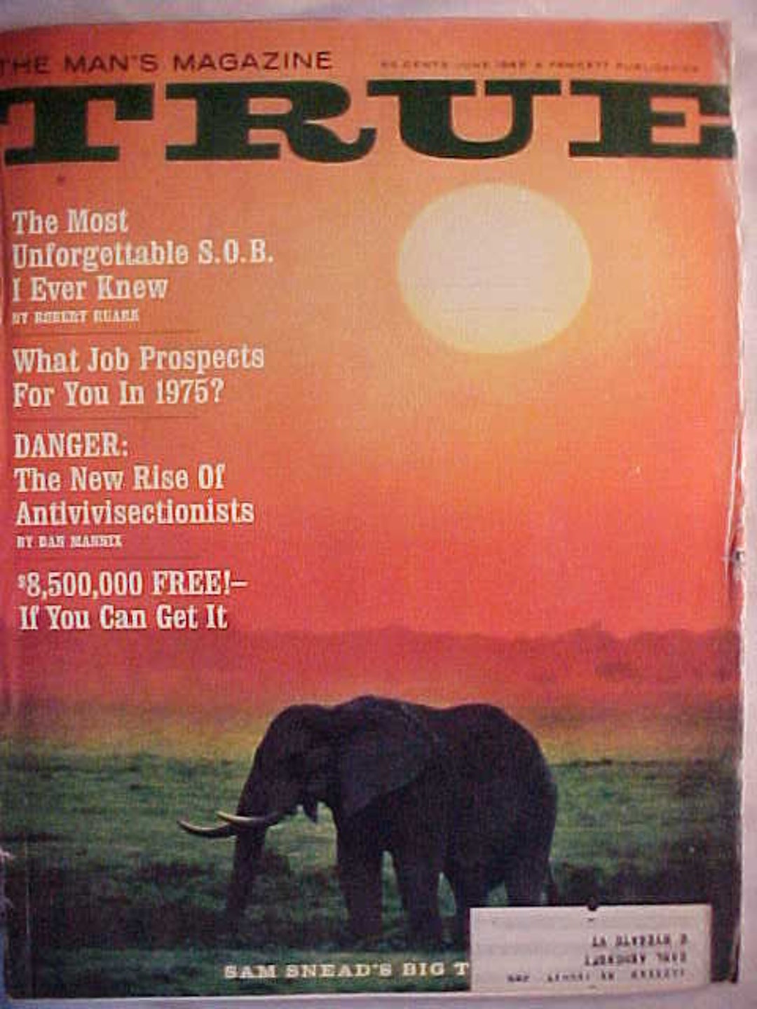 June 1965 True the Man's Magazine With Cover Art by Robert Halmi, With ...