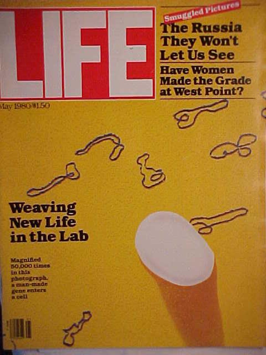 May 1980 LIFE Magazine With Man Made Cells on the Cover by Huntington ...
