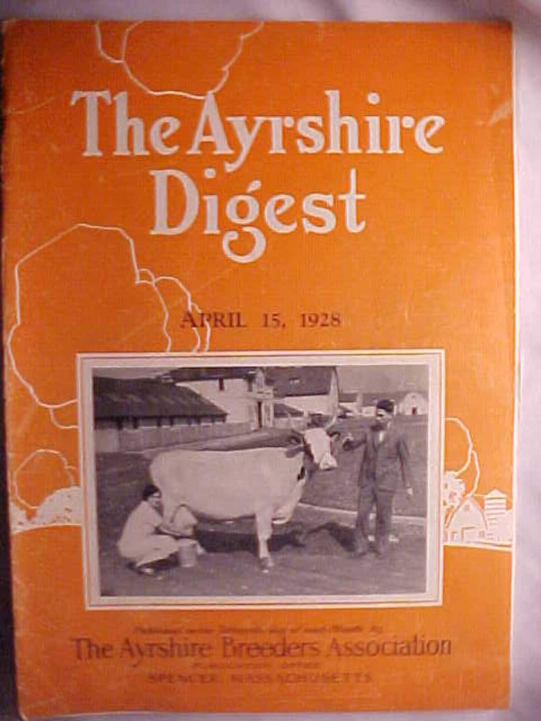 April 15, 1928 the Ayrshire Digest Magazine the Ayrshire Breeders ...