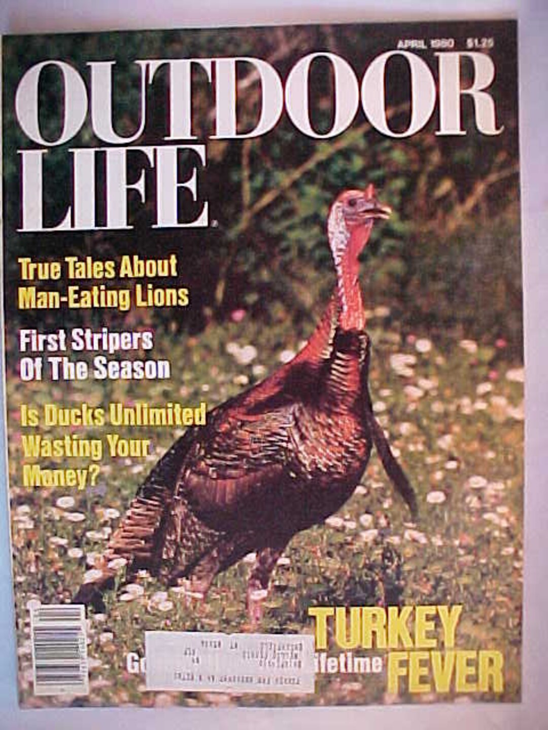 April 1980 Outdoor Life Magazine With Cover Art by Jerry Smith, Has 170 ...