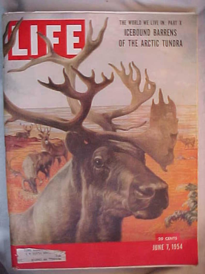 June 7 1954 LIFE Magazine With the World We Live in on the - Etsy