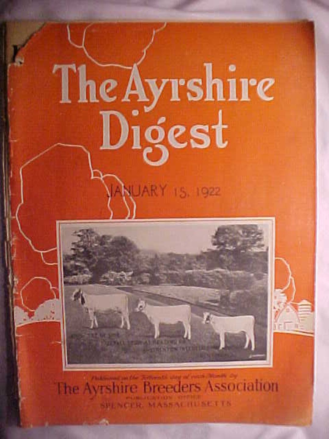 January 15, 1922 the Ayrshire Digest Magazine the Ayrshire Breeders ...