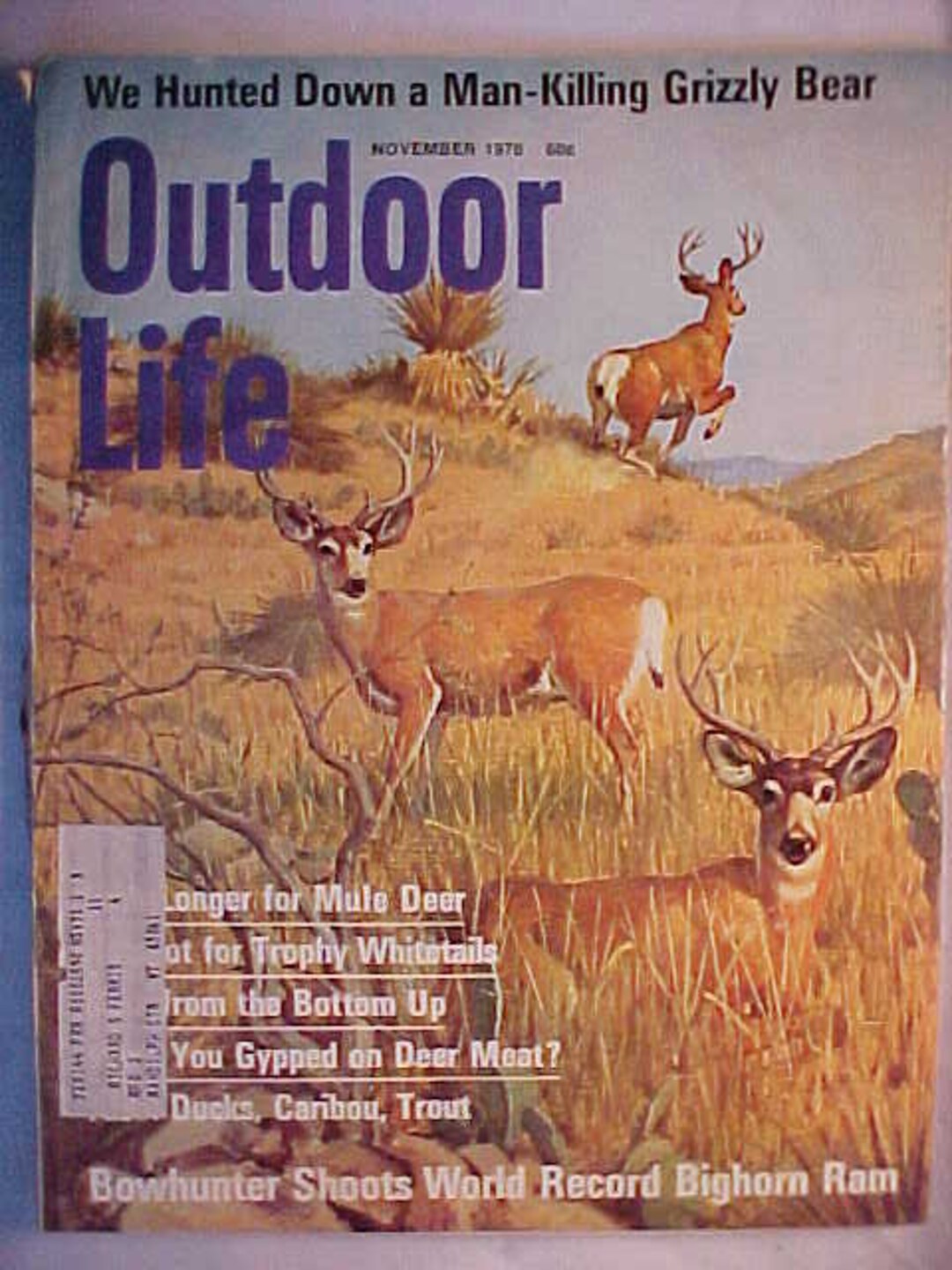 November 1970 Outdoor Life Magazine With the Cover by William Reusswig ...