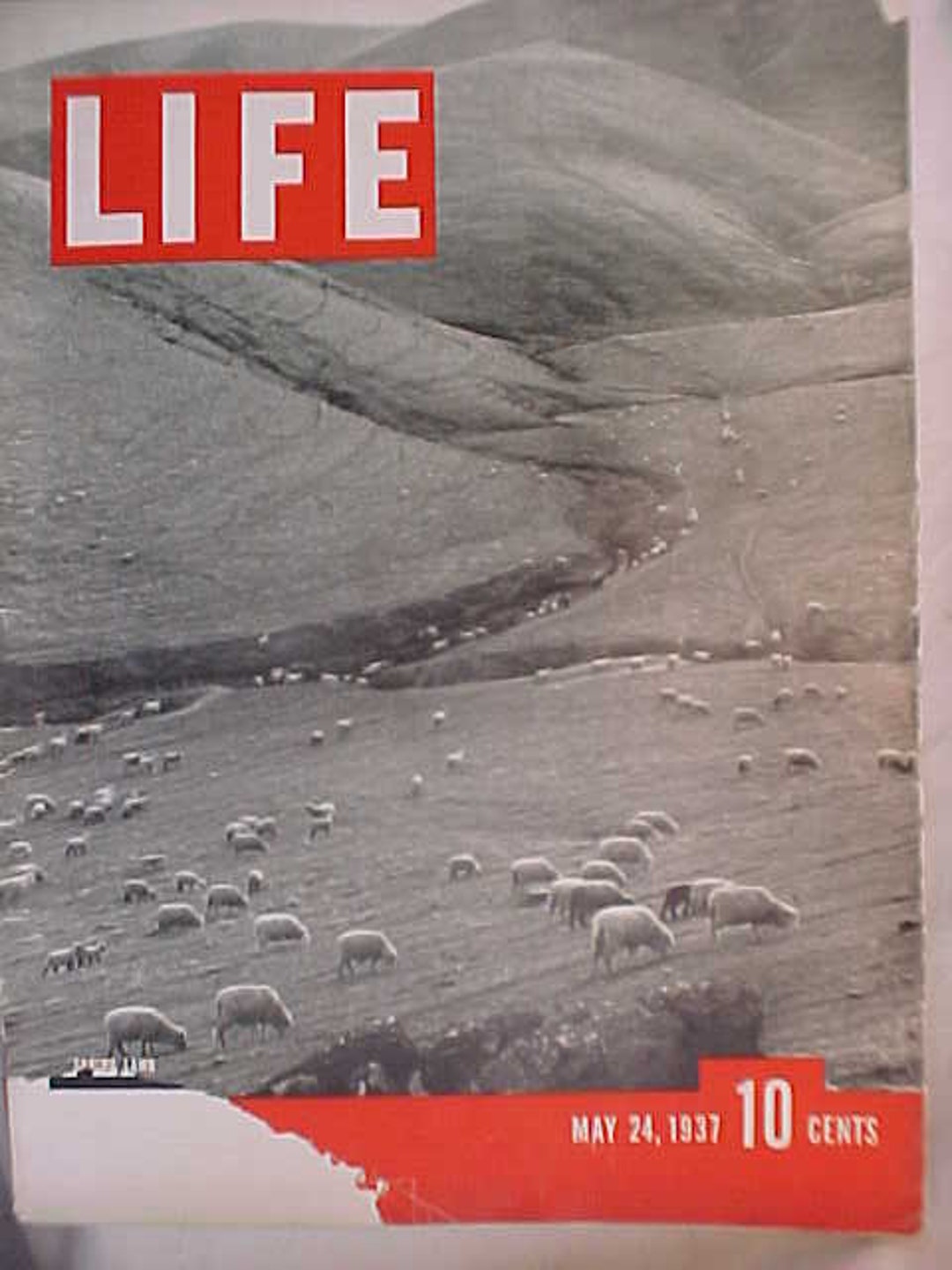 May 24, 1937 LIFE Magazine With Hansel Meith Spring Lamb Cover Has 100 ...