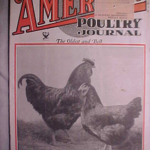 Antique Poultry - Etsy