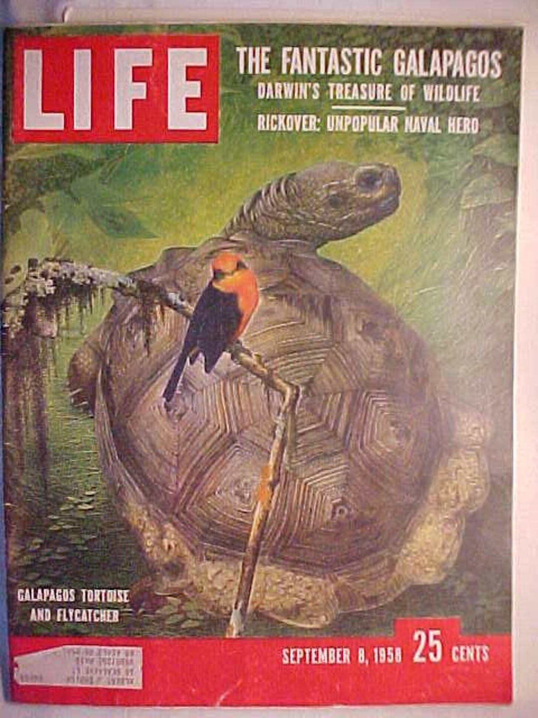 September 8, 1958 LIFE Magazine With Galapagos Tortoise and Flycatcher ...
