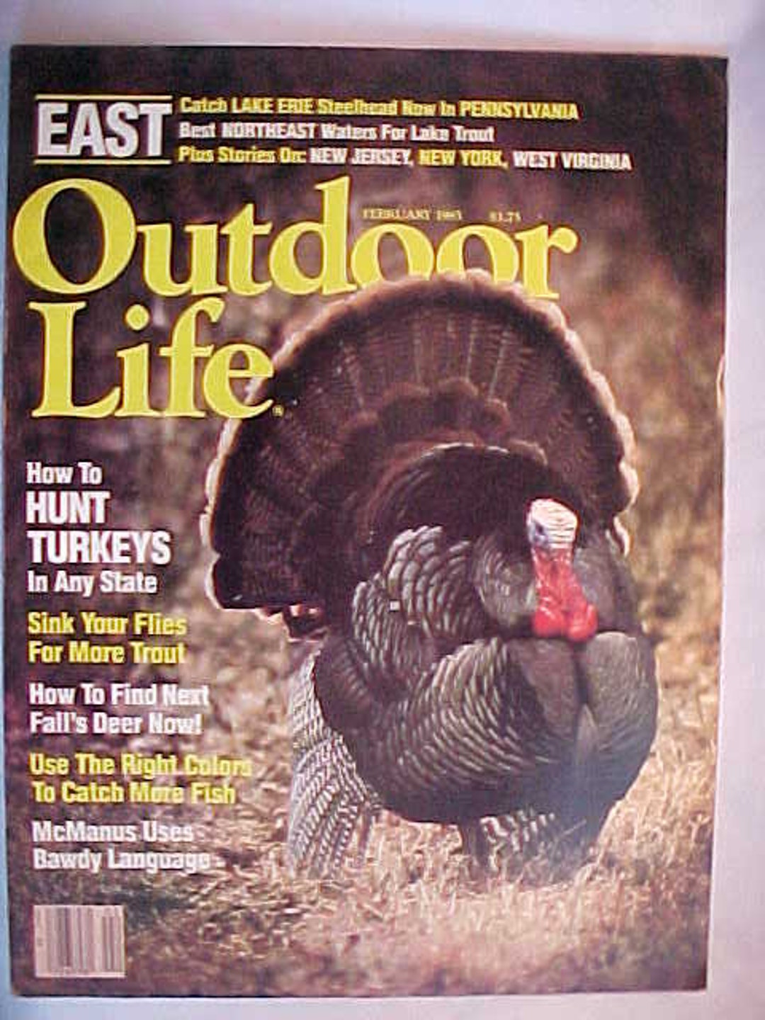 February 1985 Outdoor Life Magazine With Cover Art by Roy Morsch, Has ...