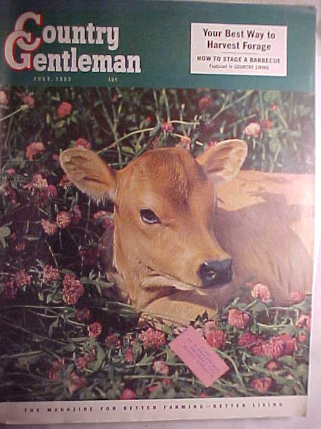 July 1952 the Country Gentleman Magazine With Cover Art by J. C. Allen ...