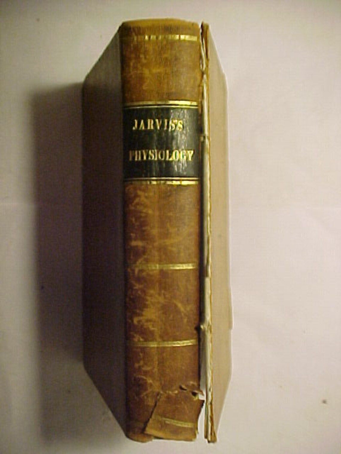 1851 Practical Physiology by Edward Jarvis Published by - Etsy