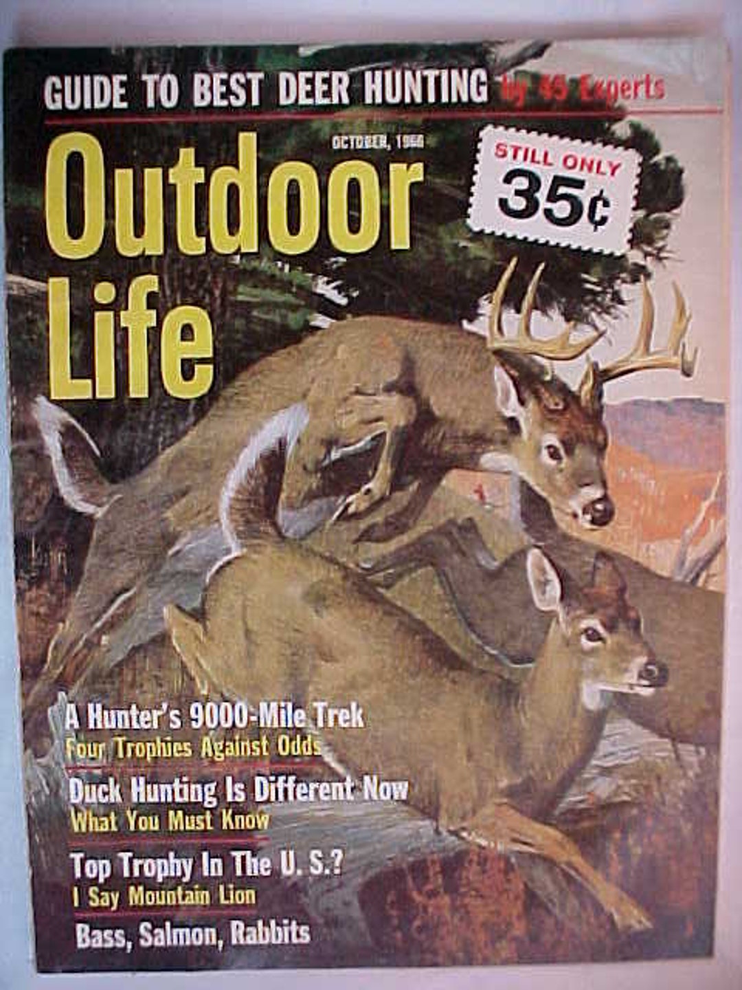 October 1966 Outdoor Life Magazine With the Cover by Bob Kuhn - Etsy