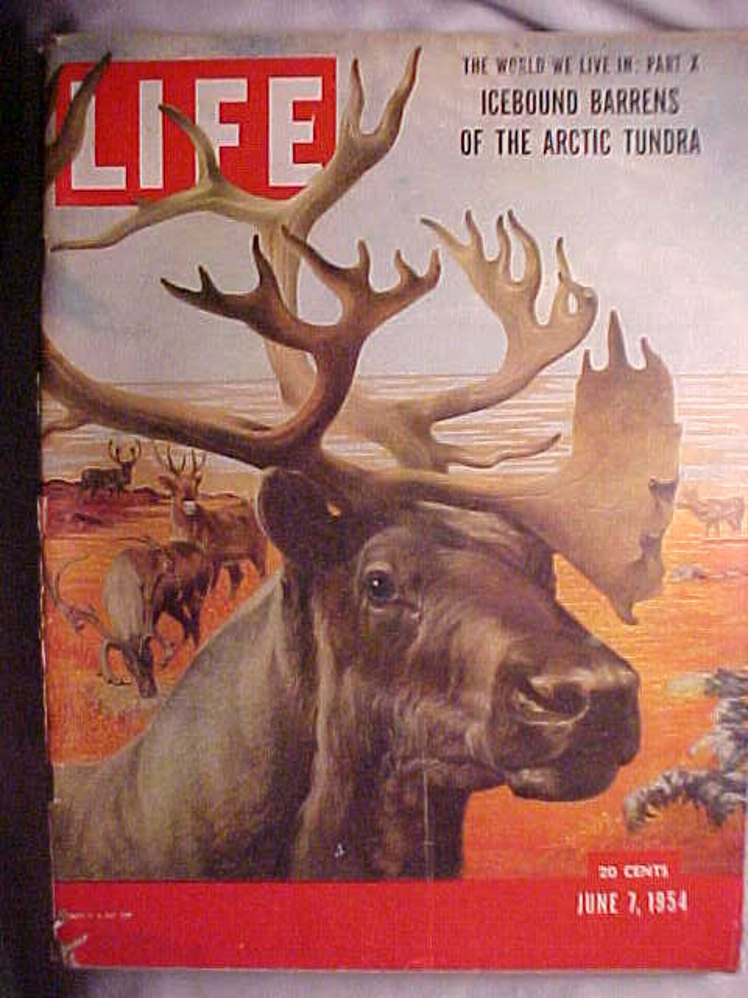 June 7, 1954 LIFE Magazine With the World We Live in on the Cover Has ...
