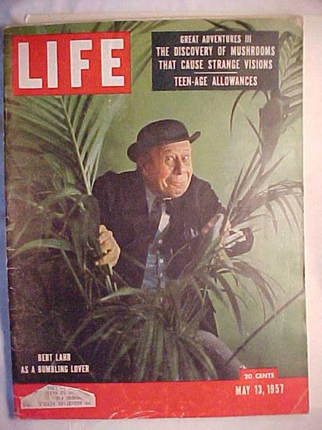 May 13, 1957 LIFE Magazine With Bert Lahr on the Cover Has 188 Pages of ...