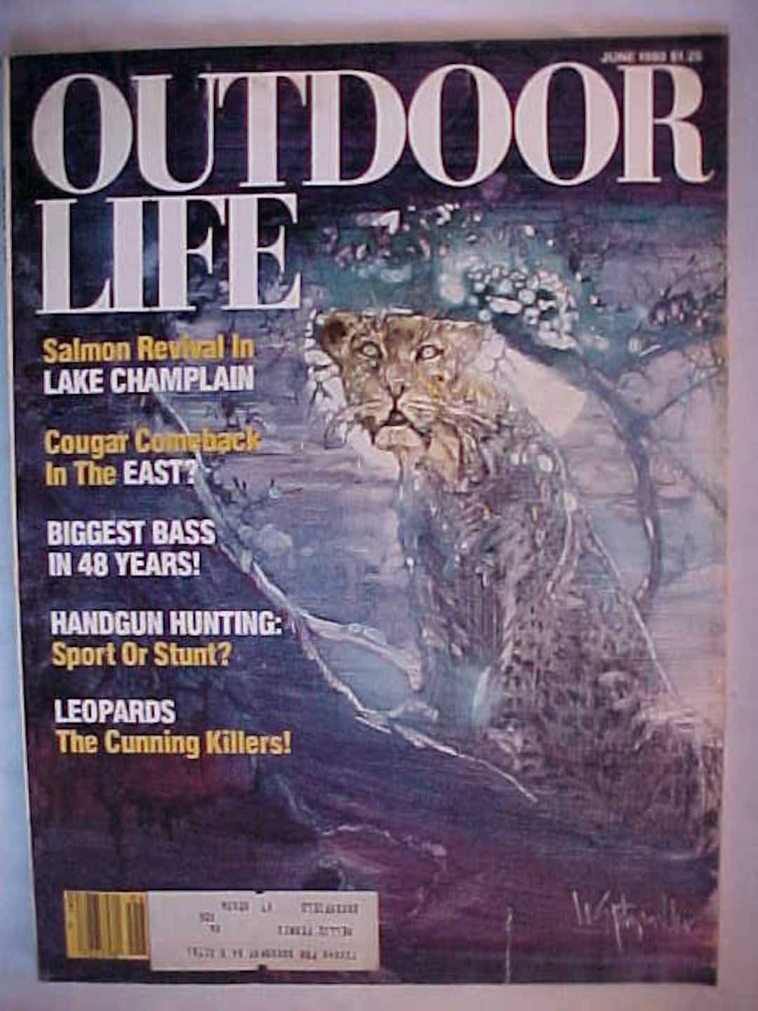 June 1980 Outdoor Life Magazine With Cover Art by Walter Spitzmiller ...
