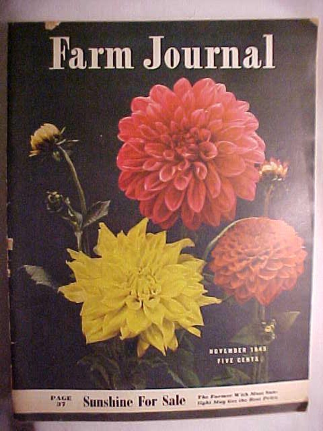 November 1945 Farm Journal & Farmer's Wife Magazine With Cover Art by ...