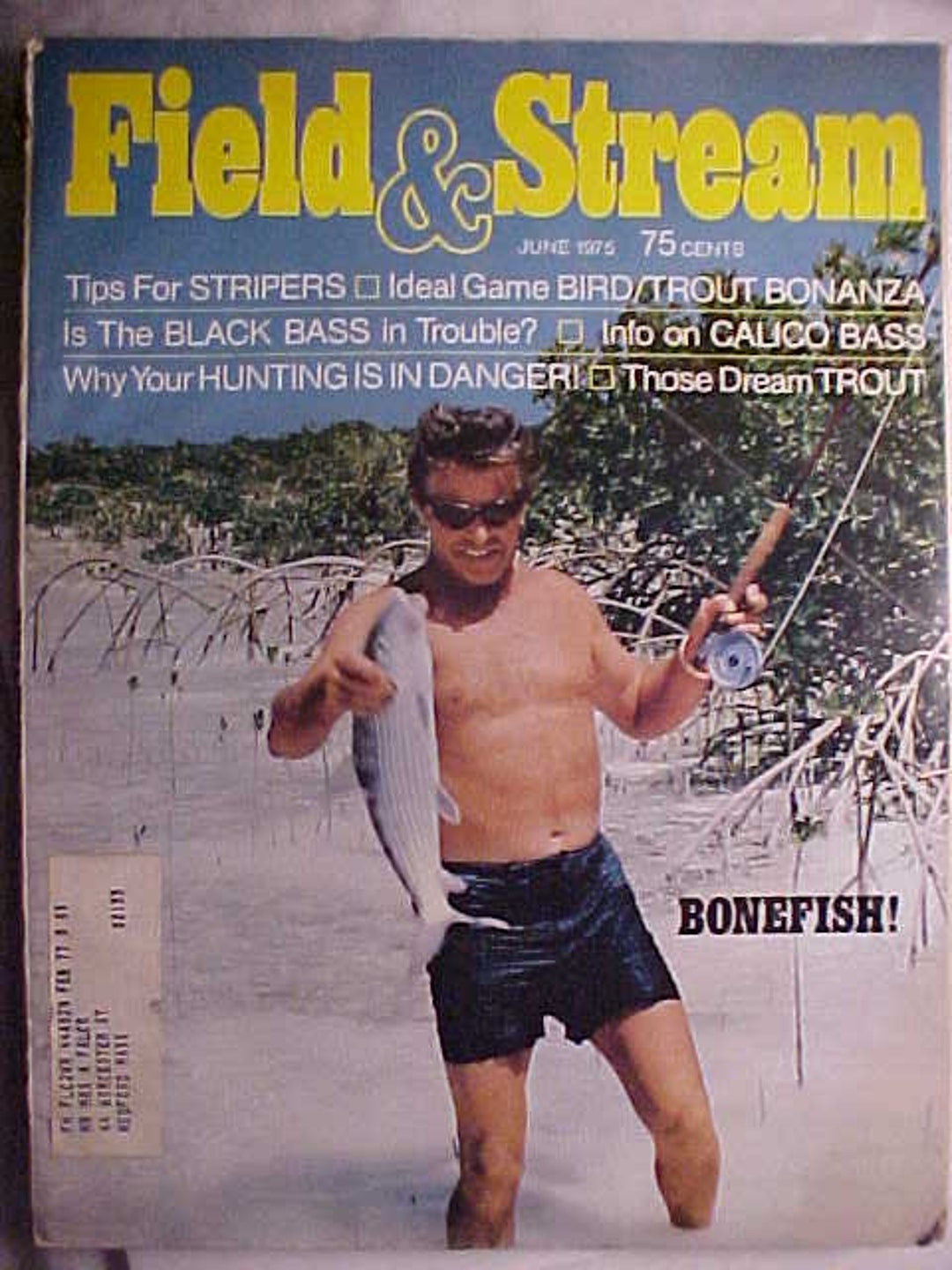 June 1975 Field & Stream Magazine With the Cover Art by Jack Samson ...