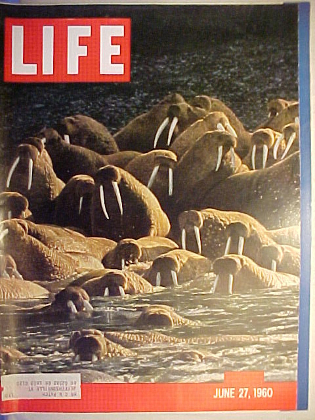 June 27, 1960 LIFE Magazine With Alaskan Walrus Crowd Shoreline on the ...