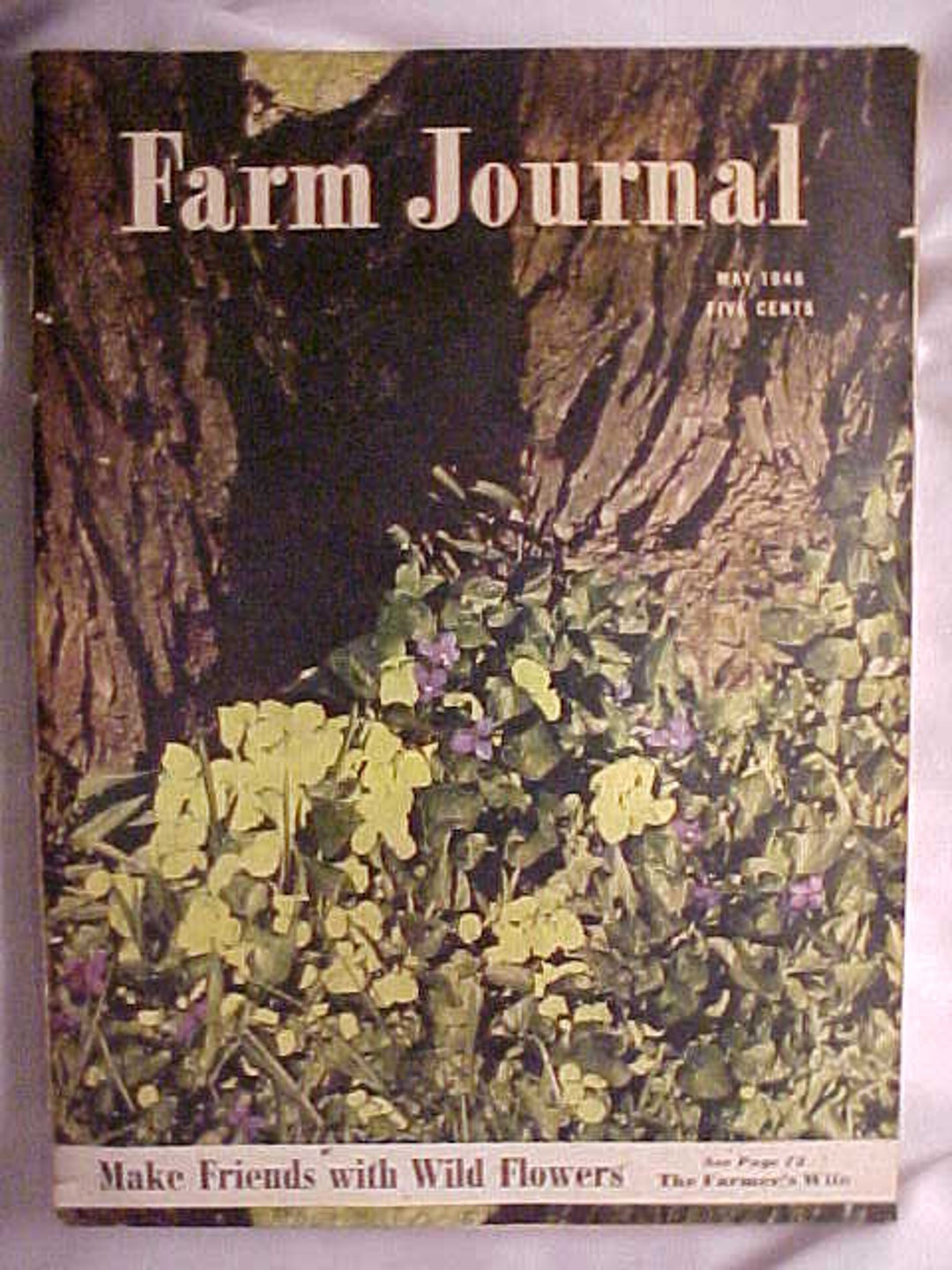 May 1946 Farm Journal & Farmer's Wife Magazine With Cover Art by John ...