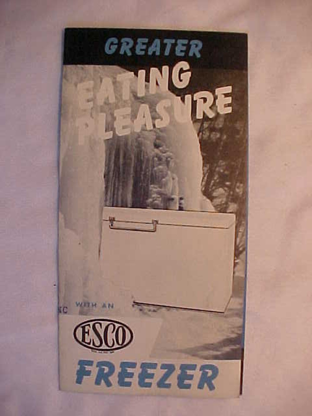 C1950s ESCO Freezer by Esco Cabinet Company West Chester, PA., for Sale ...