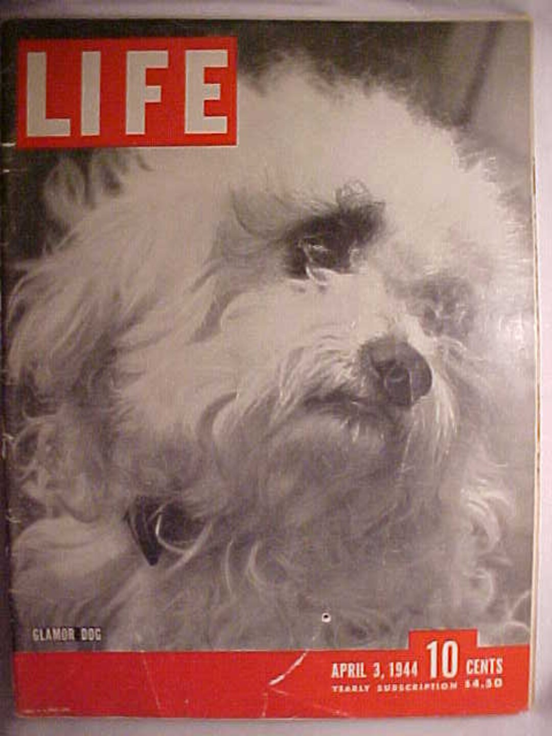 April 3, 1944 LIFE Magazine With Maltese Poodle on the Cover Has 132 ...