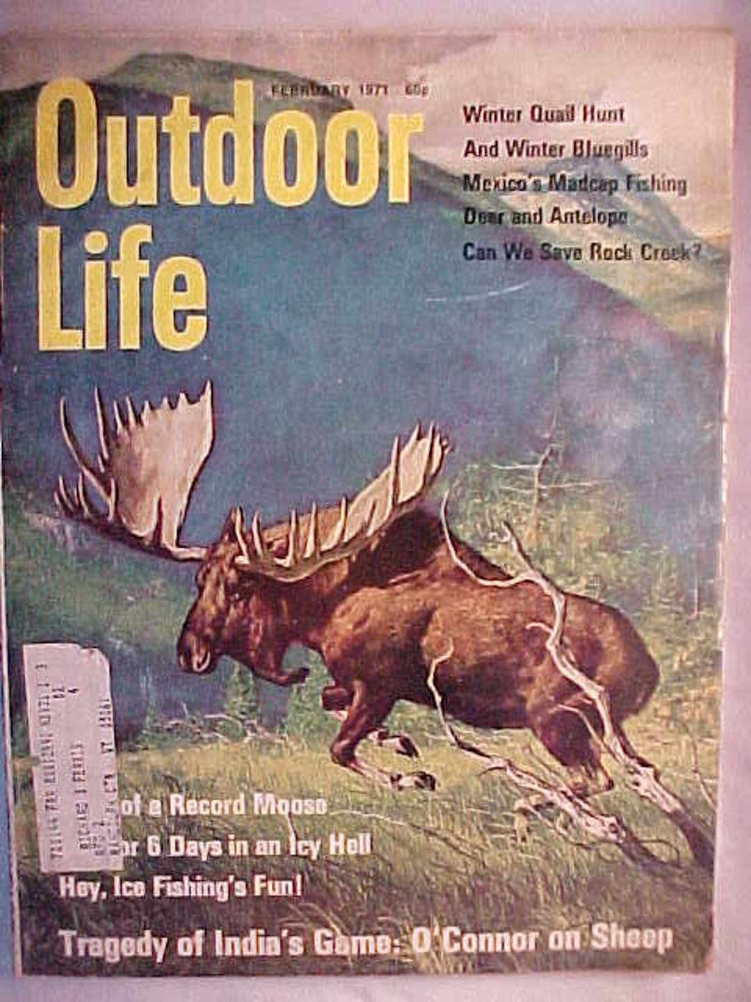 February 1971 Outdoor Life Magazine With the Cover by Frank Mccarthy ...