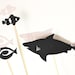 Coral Reef Ocean Life: Shadow Puppet Set - Etsy