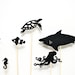 Coral Reef Ocean Life: Shadow Puppet Set - Etsy