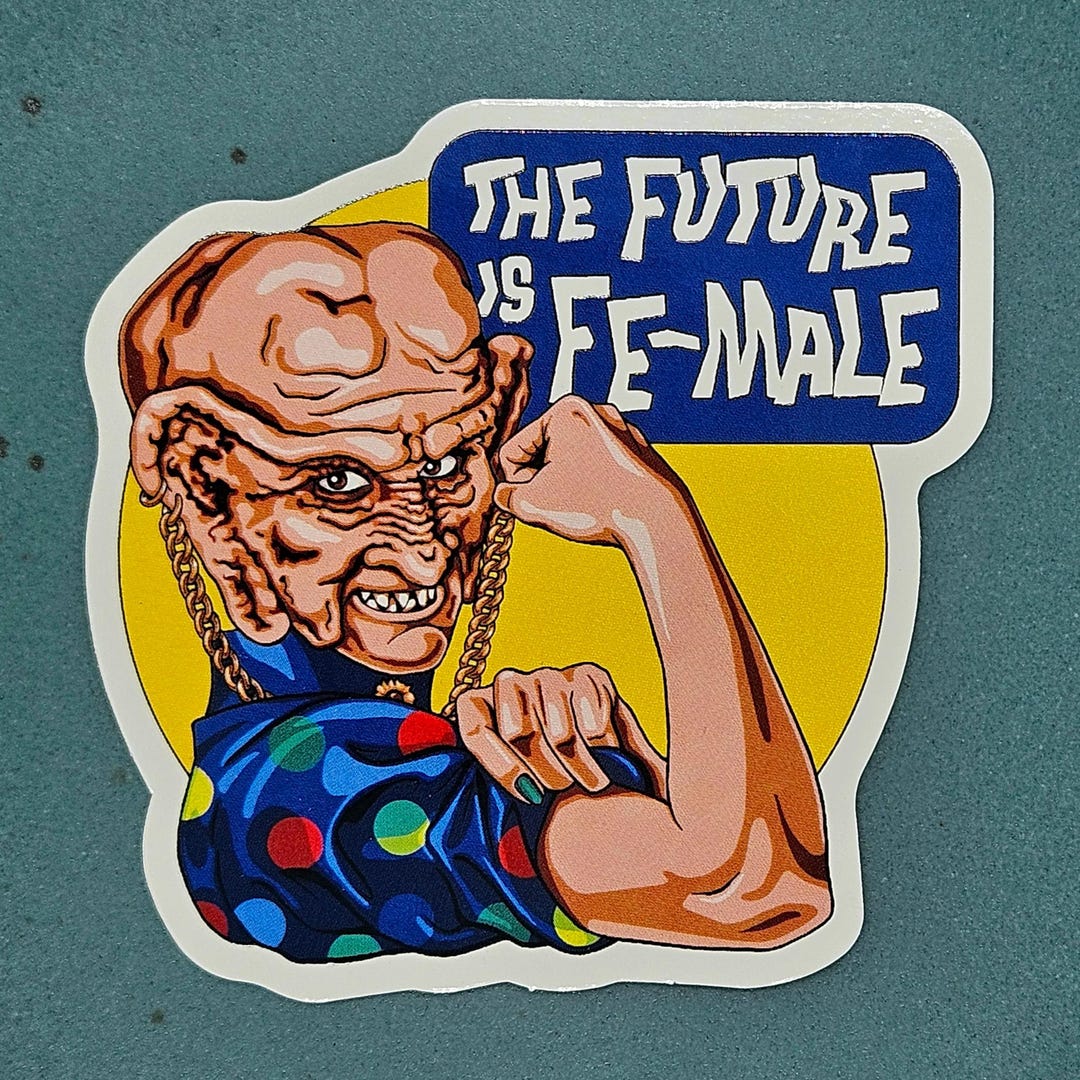 The Future is Female Vinyl Sticker - Etsy