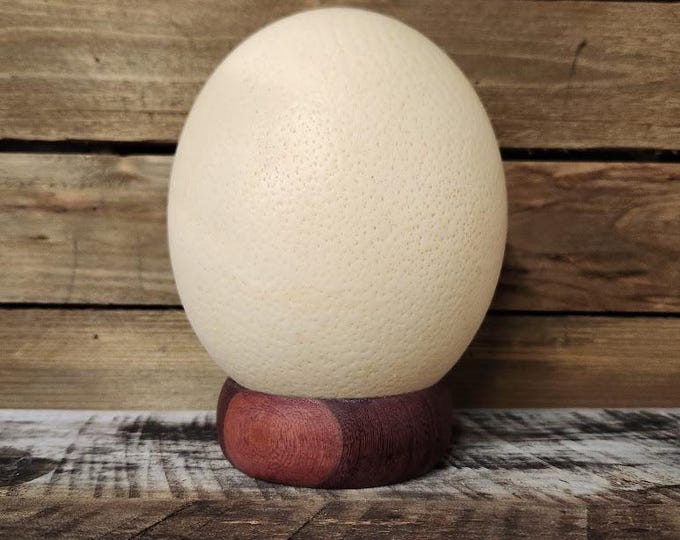 Hand Made Decorated Real Ostrich Egg Jewellery Box With Ceramic Flowers ...