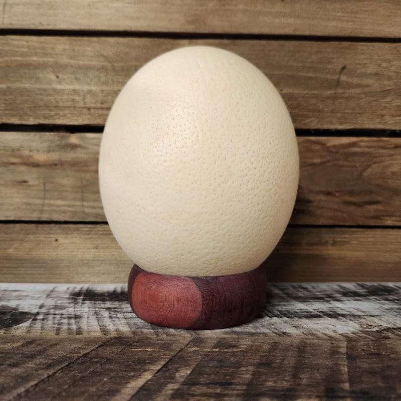 Ostrich Egg Shells - Etsy