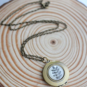 Fern Locket Necklace, Plant Jewelry, Keepsake Gift for Nature Lover - Etsy