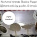Nocturnal Animals Shadow Puppets | Homeschool | Forest School | Digital ...