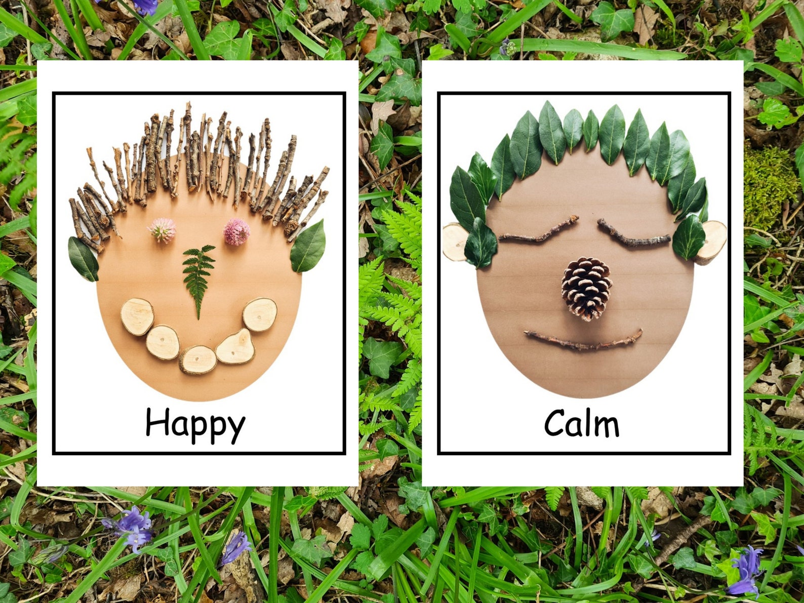 Emotions Flash Cards Nature Emotions Digital Download - Etsy