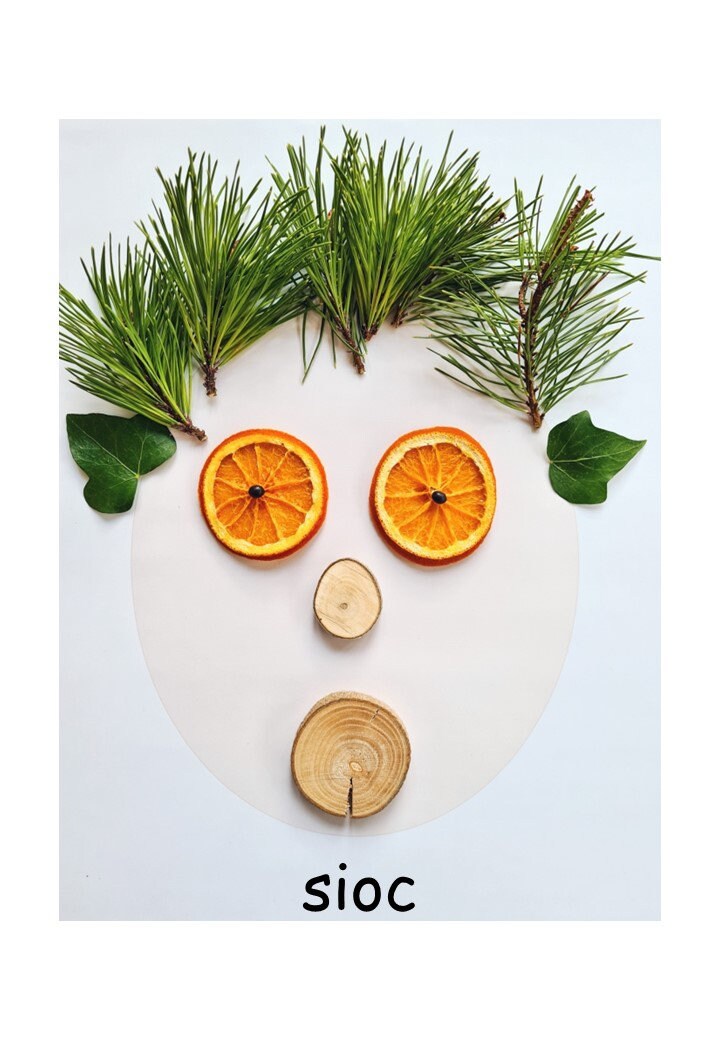 WELSH LANGUAGE Nature Emotions Feelings Flash Cards, Phse, Children's ...