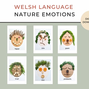 WELSH LANGUAGE Nature Emotions Feelings Flash Cards Phse - Etsy