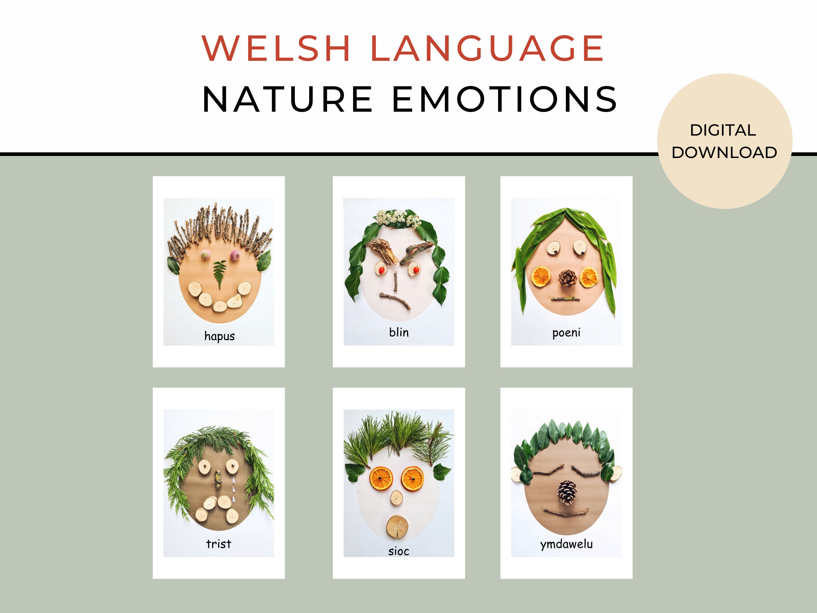 WELSH LANGUAGE Nature Emotions Feelings Flash Cards, Phse, Children's ...