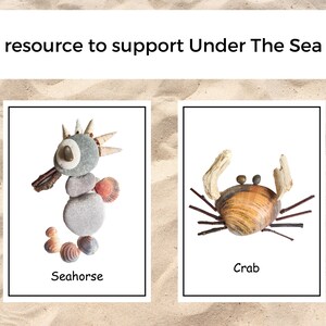 Loose Parts Nature Under the Sea Digital Learning Resource Sea Study ...