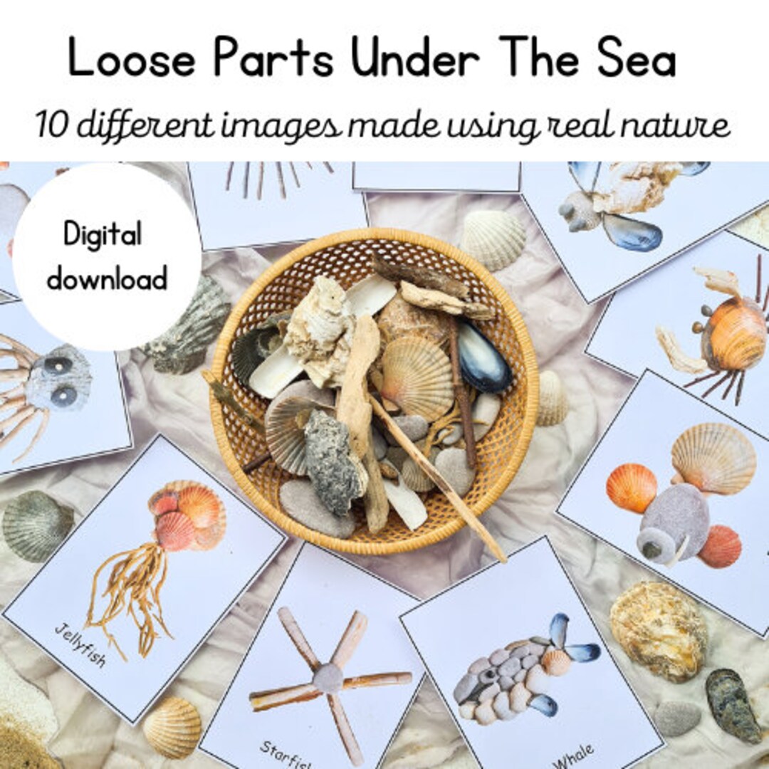 Loose Parts Nature Under the Sea Digital Learning Resource Sea Study ...