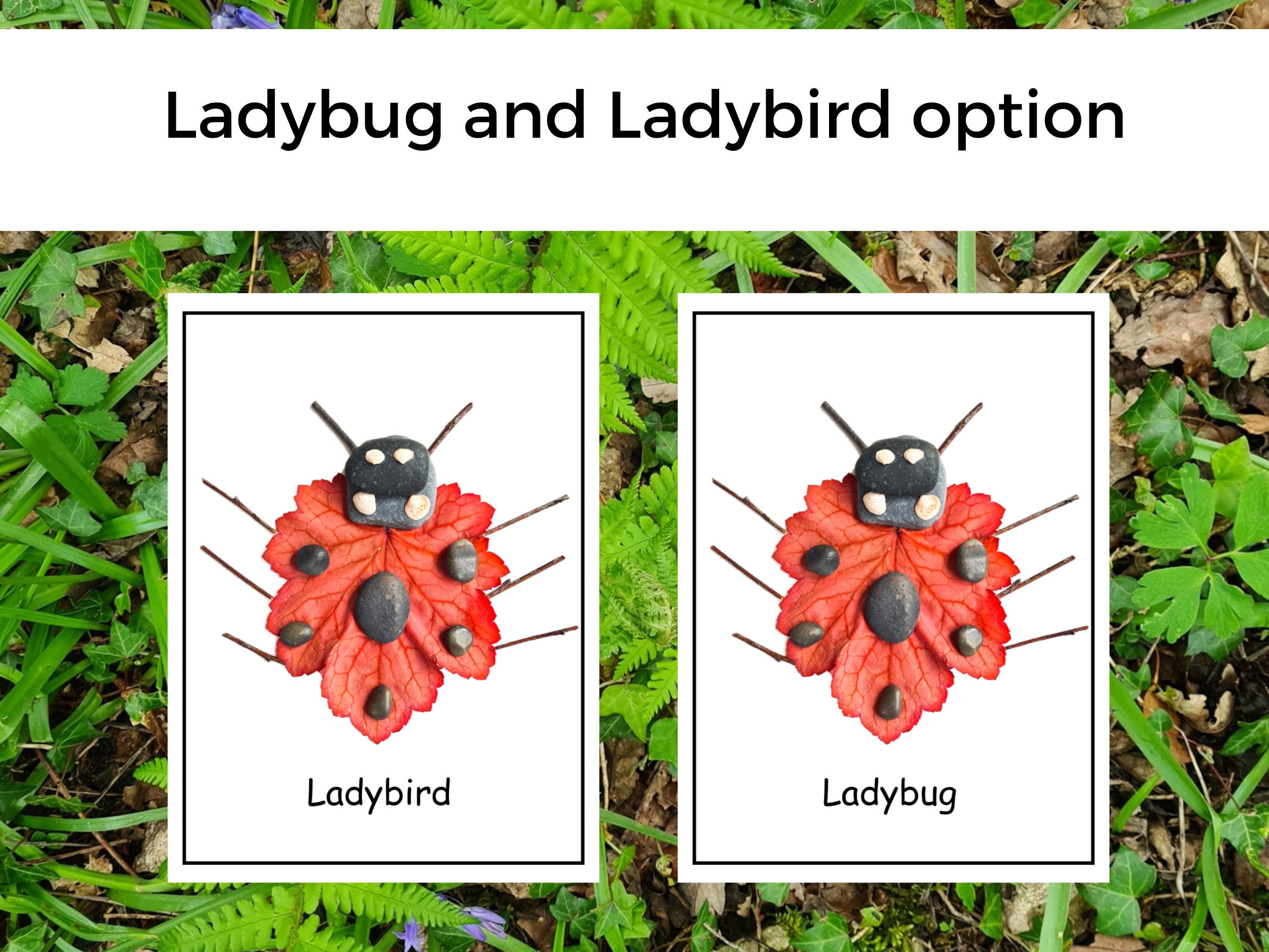 Loose Parts Nature Minibeasts Digital Learning Resource - Etsy Australia