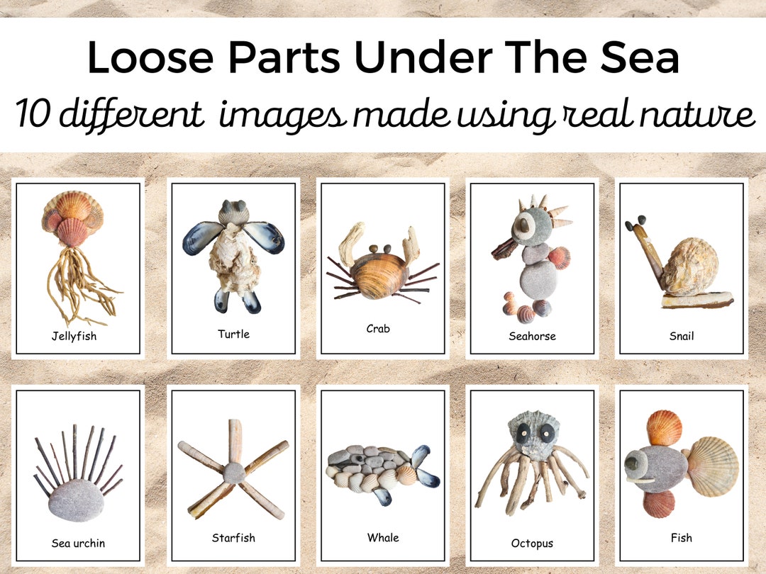 Loose Parts Nature Under the Sea Digital Learning Resource - Etsy UK