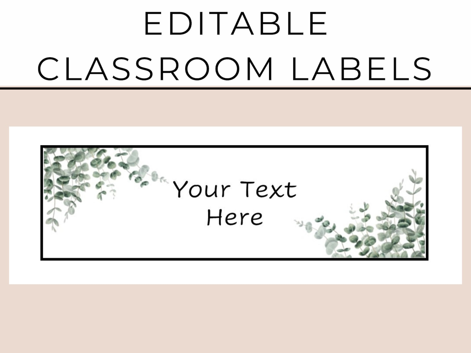 Eucalyptus Editable Power Point Classroom Labels | Natural Classroom ...