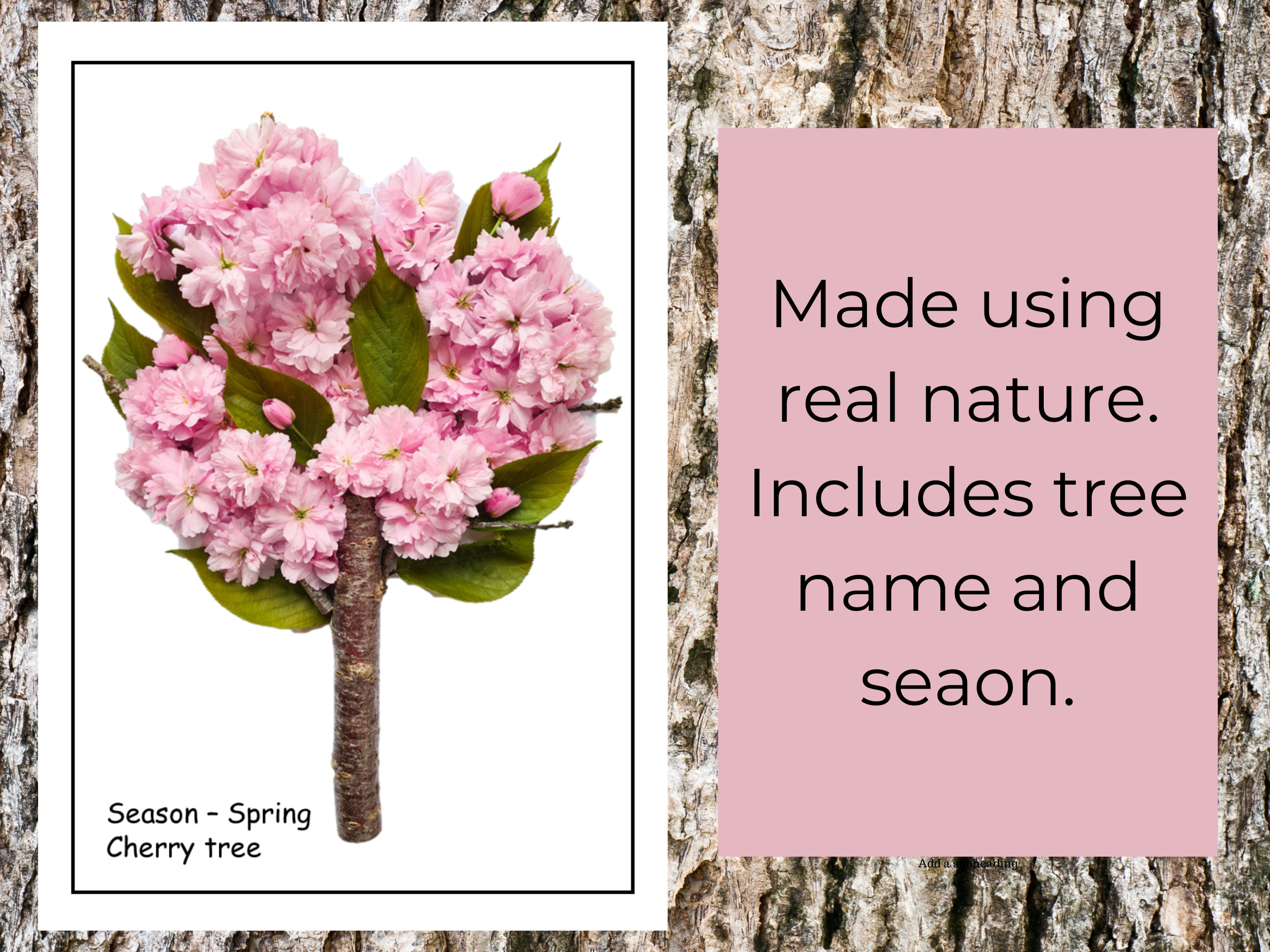 Spring Blossom Cherry Tree Nature Loose Parts Template | Digital ...