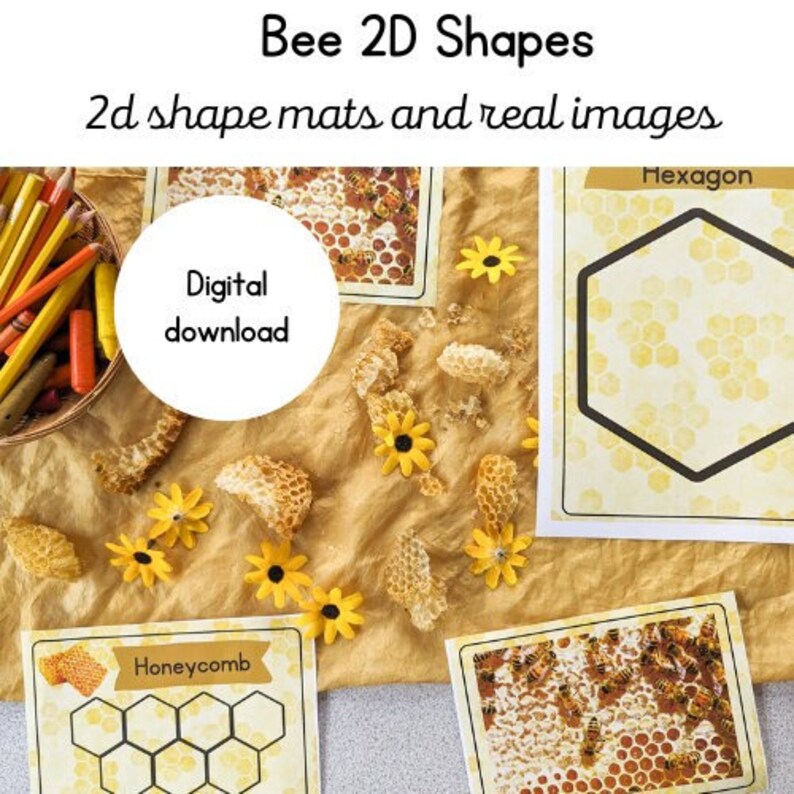Bee 2D Shapes | Homeschool | Forest School | Digital Learning Resources ...