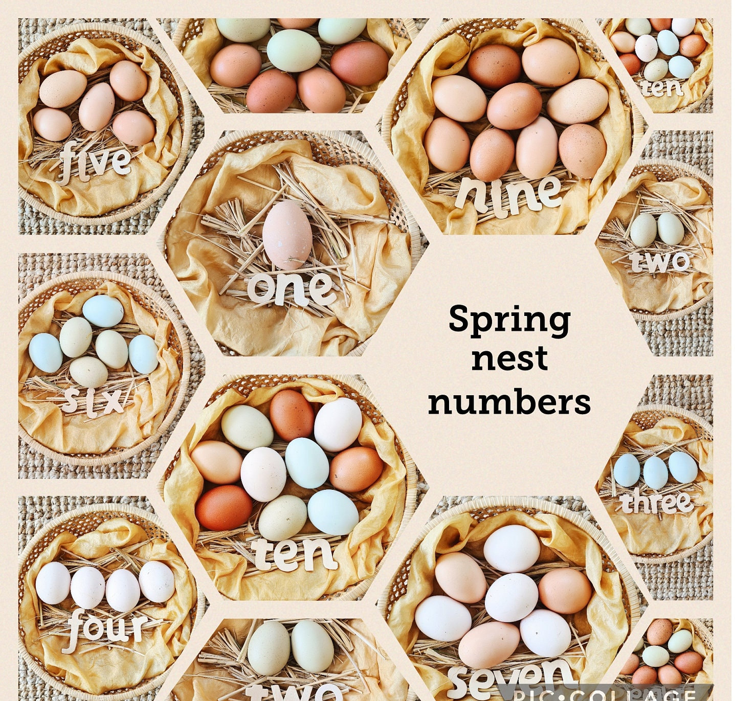 Spring Egg Nest Numbers Digital Download, Easter Egg Printable Flash ...