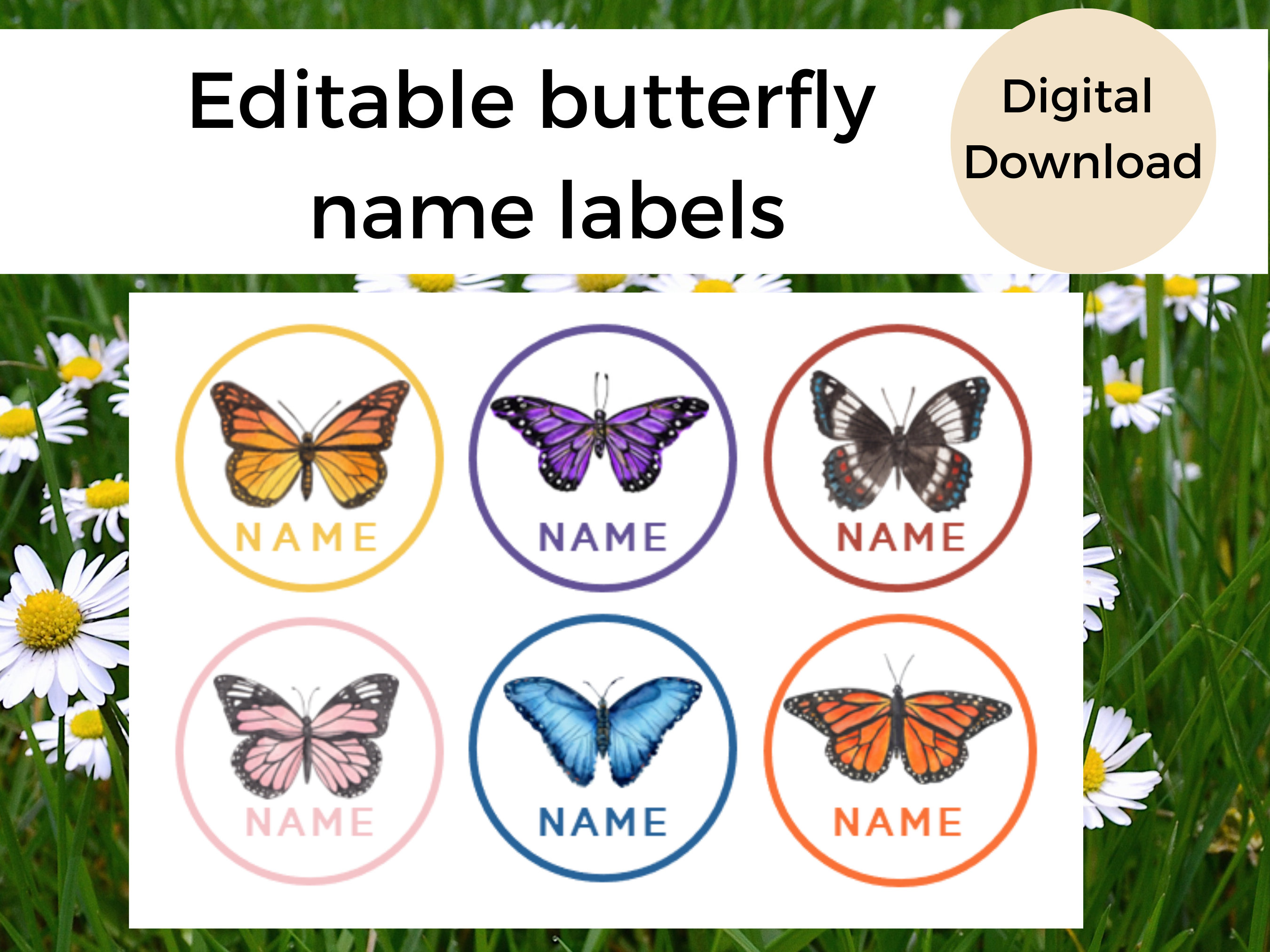Editable Butterfly Name Labels Classroom Organisation Classroom Labels ...