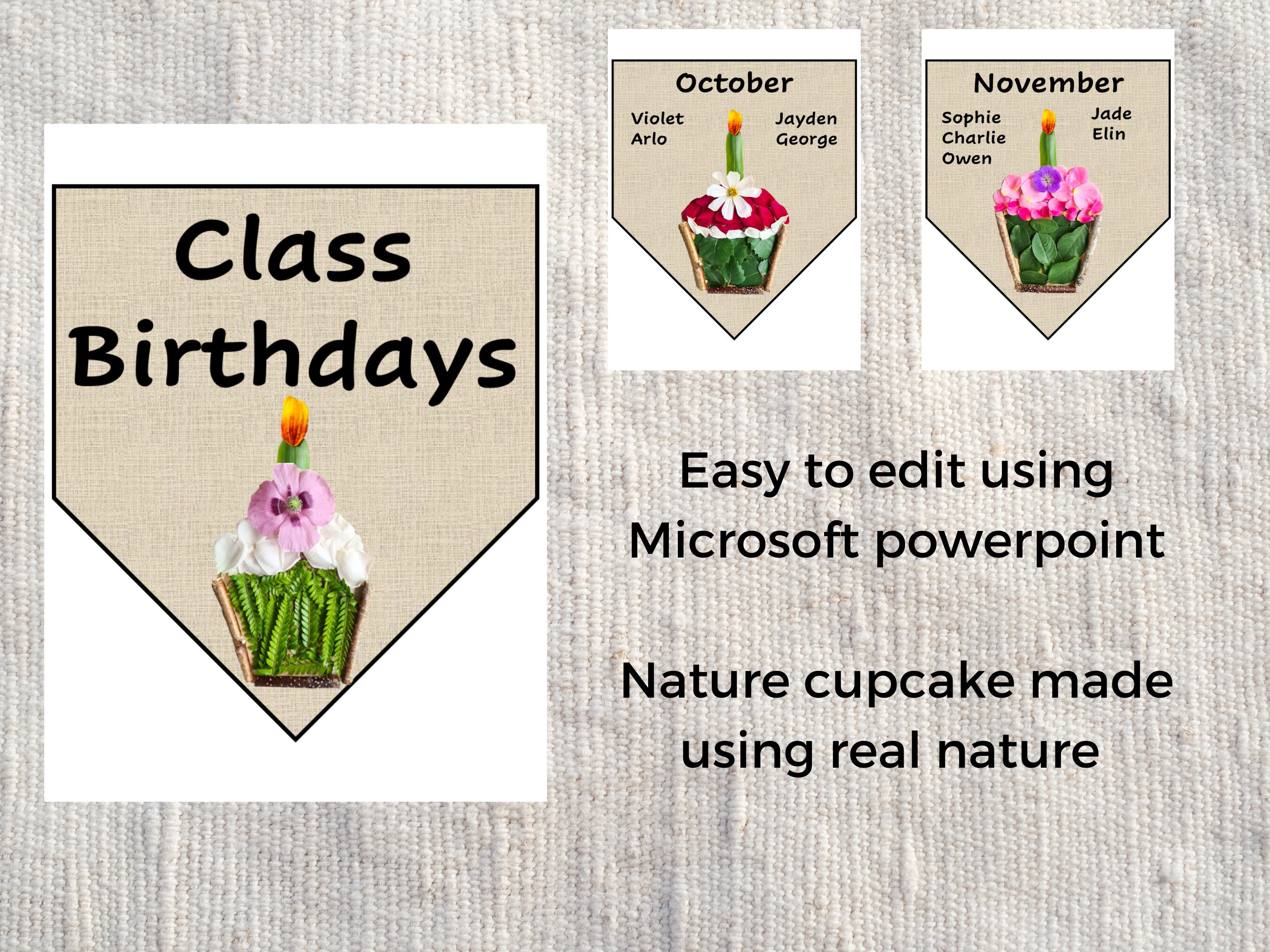Editable Class Birthday Display Birthday Board Nature Cupcake Theme ...