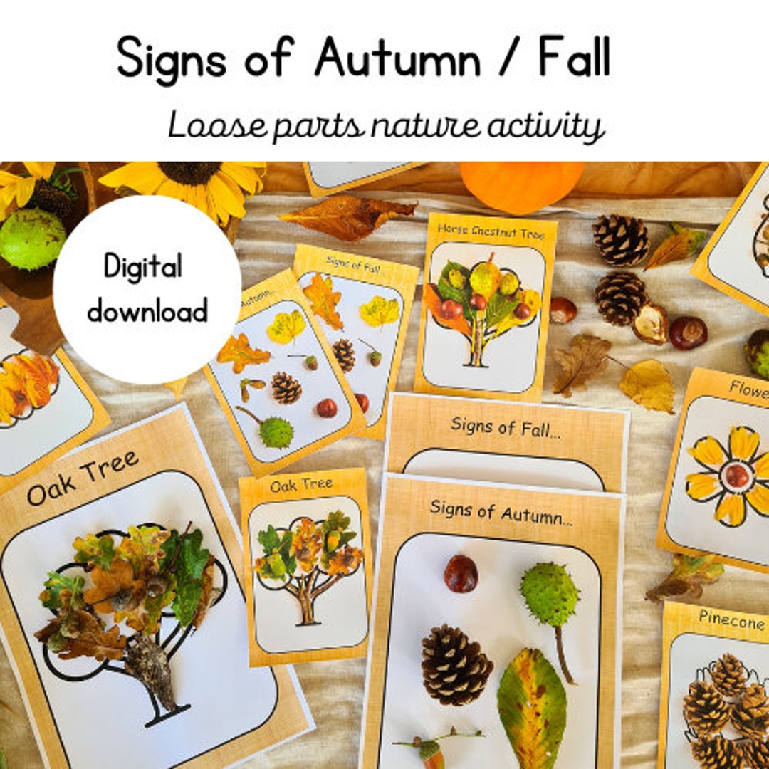 Signs of Autumn / Fall Nature Loose Activity Printable | Digital ...