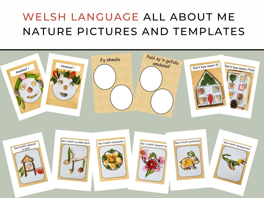 WELSH LANGUAGE - All About Me Activity Printable | Digital Download ...