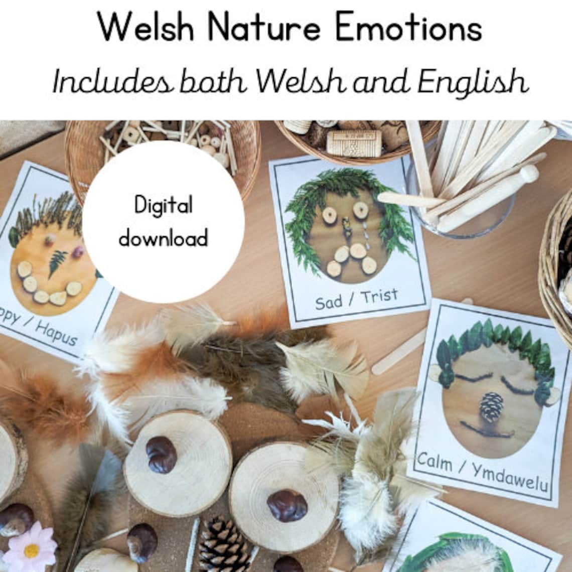 WELSH LANGUAGE Nature Emotions Feelings Flash Cards, Phse, Children's ...