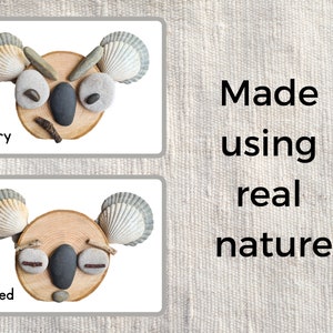 Koala Emotions Flash Cards | Nature Emotions | Digital Download | Kids ...