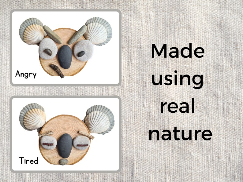 Koala Emotions Flash Cards | Nature Emotions | Digital Download | Kids ...